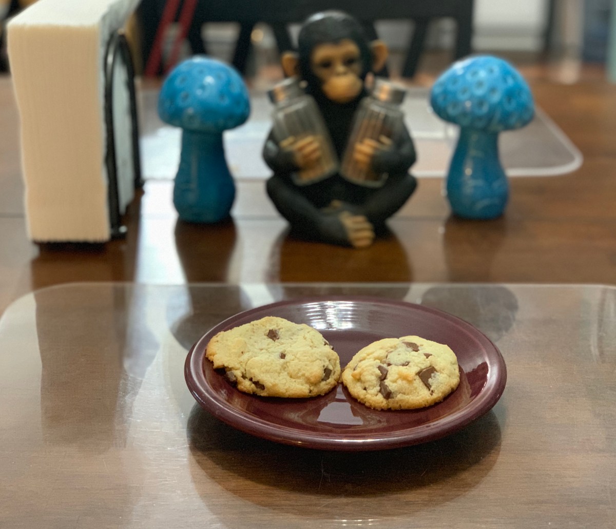 Chocolate Chip Cookies (Keto) – The Judgmental Monkey